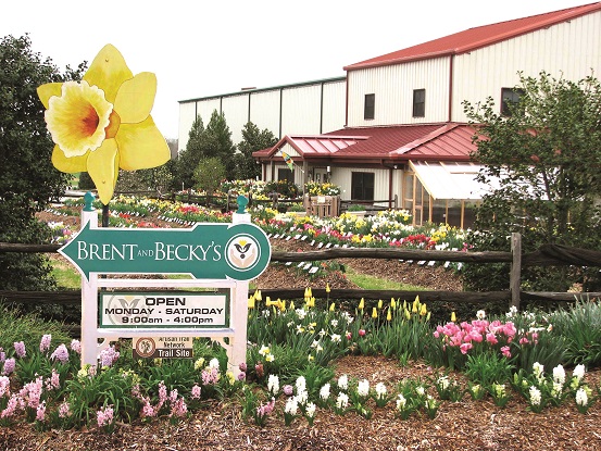 Bulb Shoppe & Gardens - Brent & Becky's Bulbs